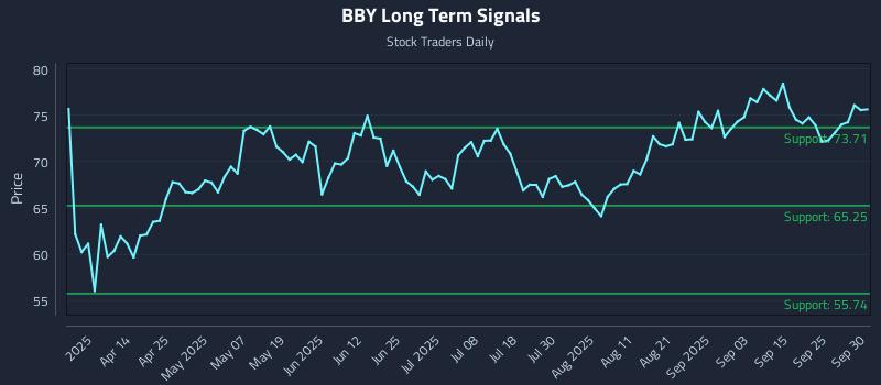 Understanding Momentum Shifts in (BBY) - Stock Traders Daily